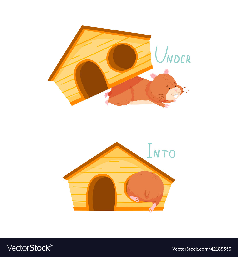 English prepositions of place set cute hamster Vector Image