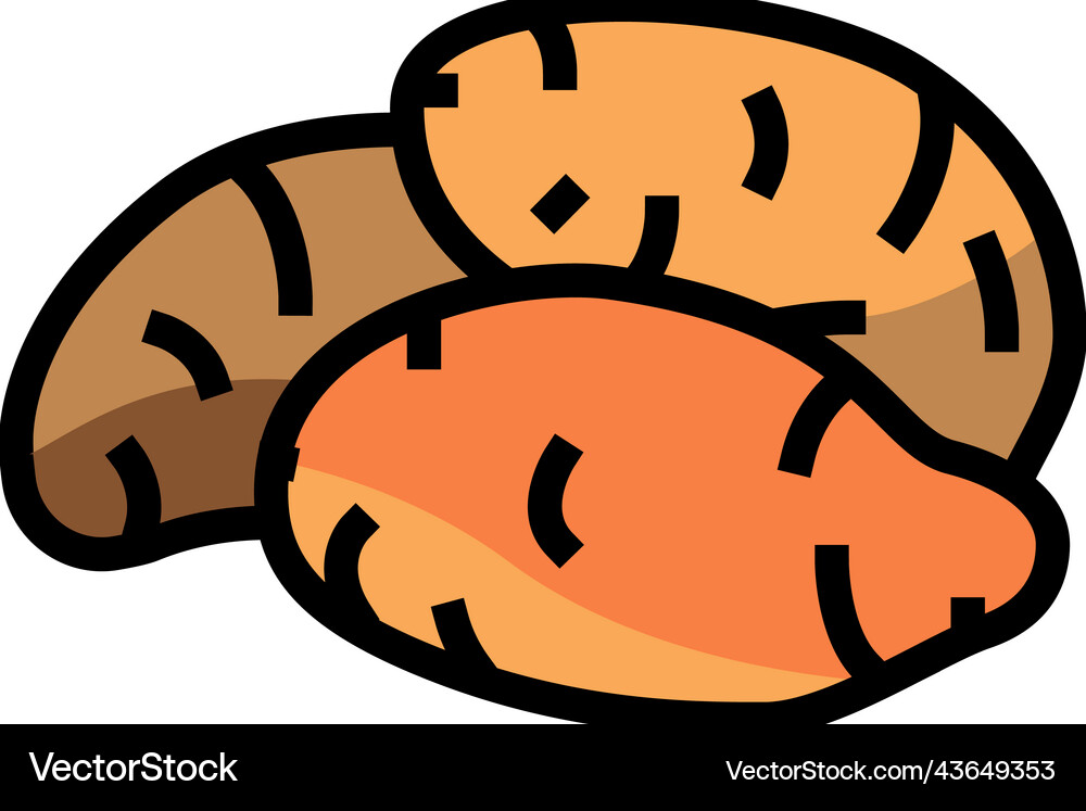 Sweet potato vegetable color icon Royalty Free Vector Image