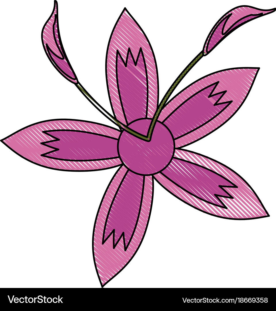 Beautiful flowers symbol Royalty Free Vector Image