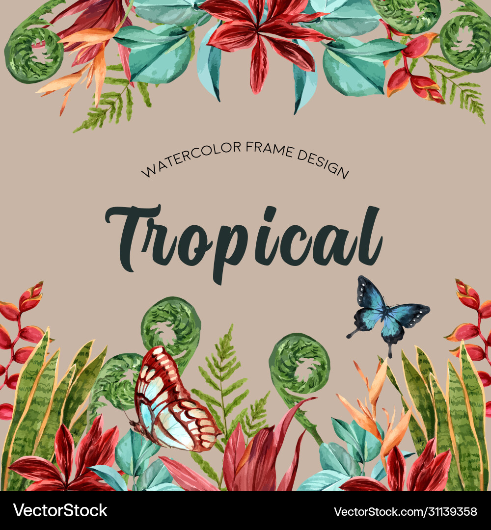 Tropical-themed frame design with butterfly and Vector Image