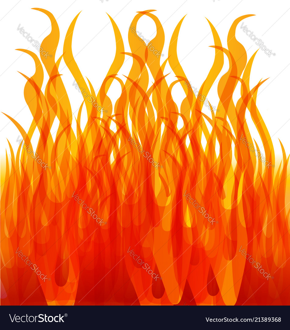 Burning fire flames Royalty Free Vector Image - VectorStock