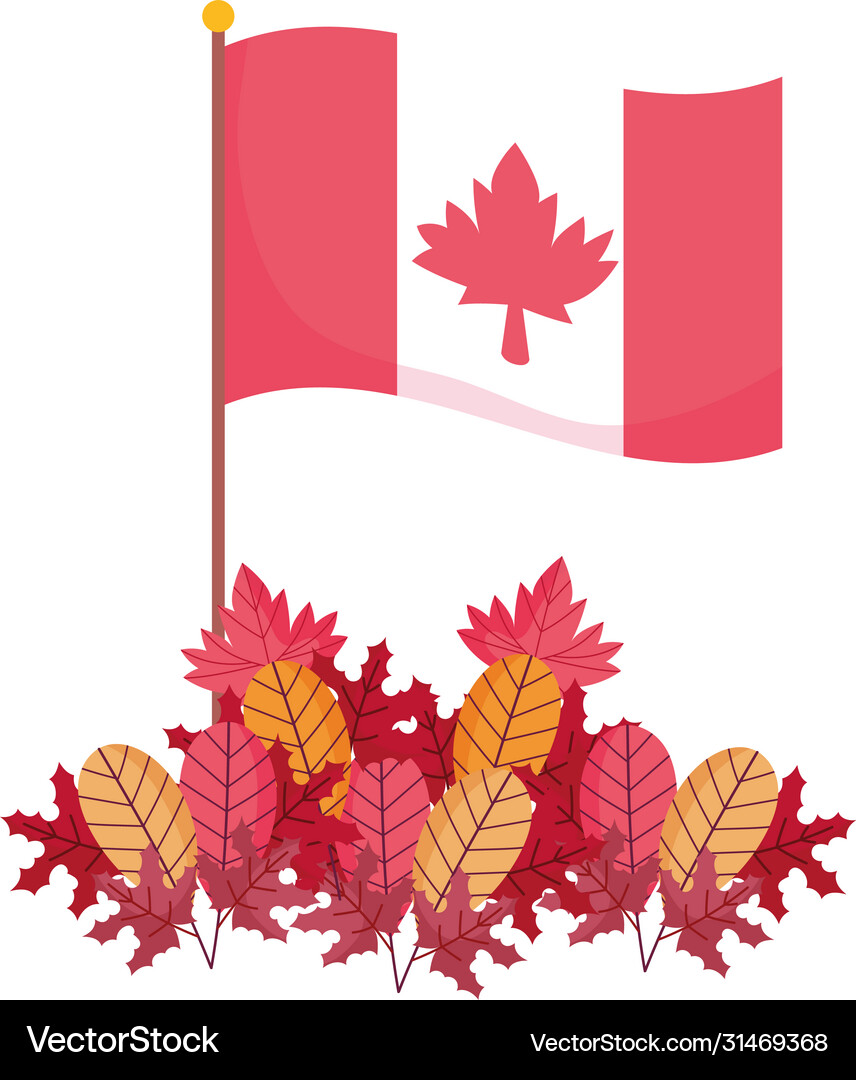 Isolated canadian flag with leaves design Vector Image