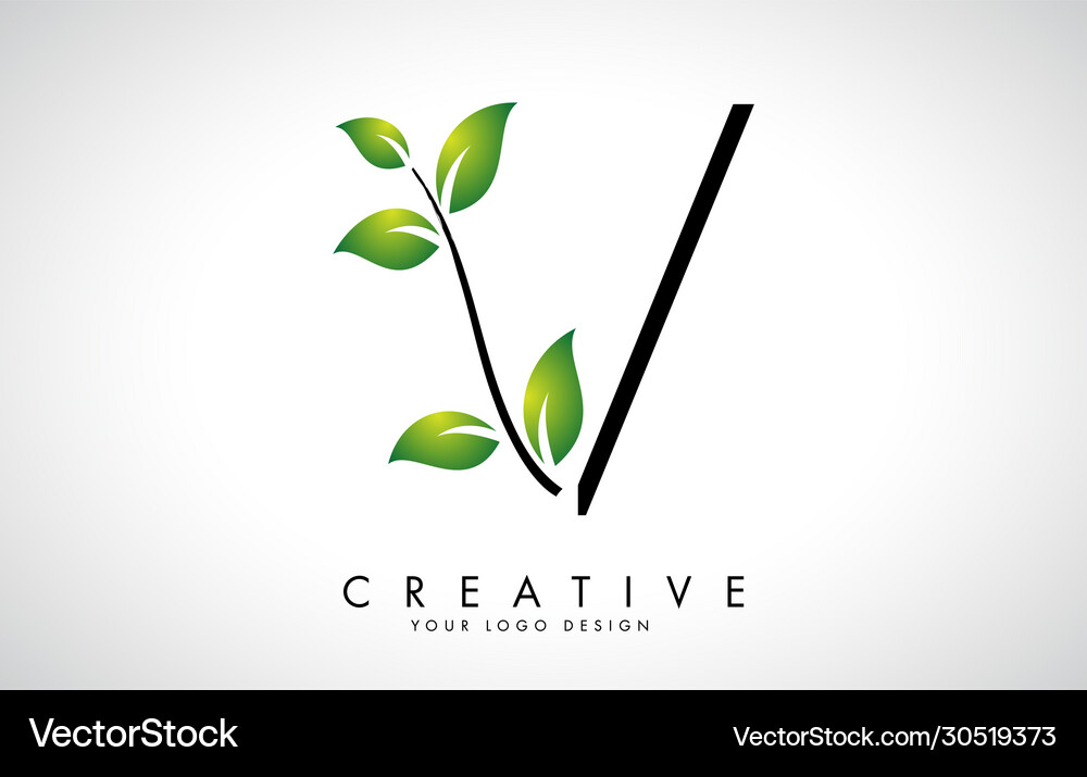 Leaf letter v logo design with green leaves Vector Image