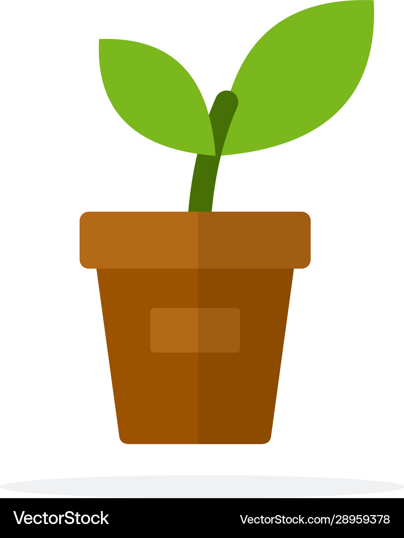 A young plant in pot flat isolated Royalty Free Vector Image
