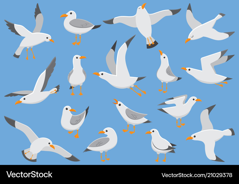 Atlantic white seabird fly at sky beach seagull Vector Image
