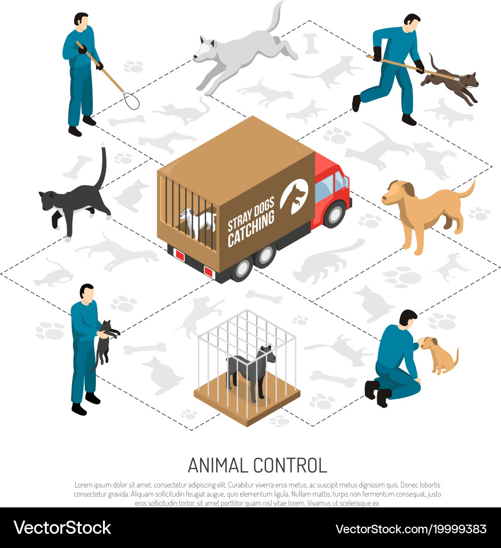 Animal control service isometric poster Royalty Free Vector