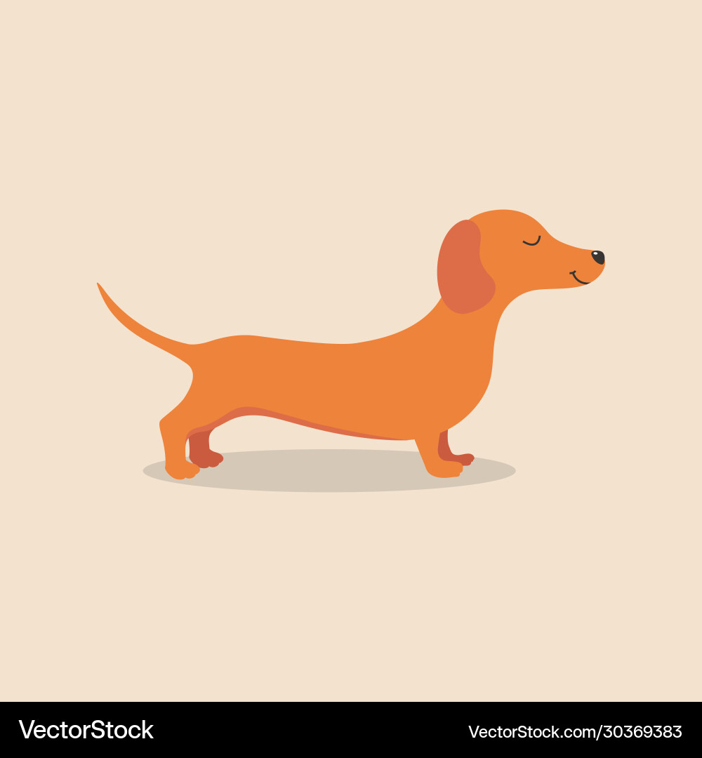 Dachshund dog animal Royalty Free Vector Image