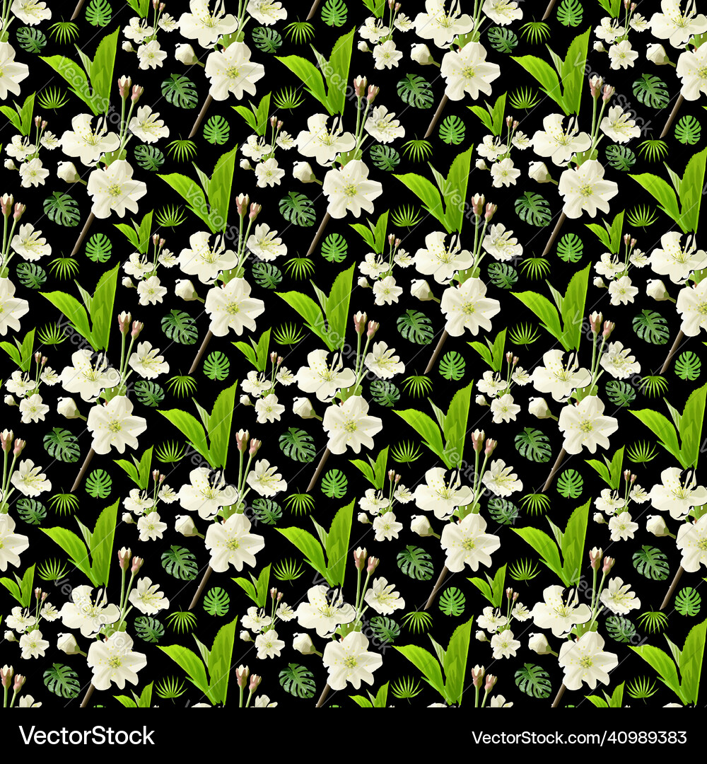 Jasmine flowerbranch leaf on black background Vector Image