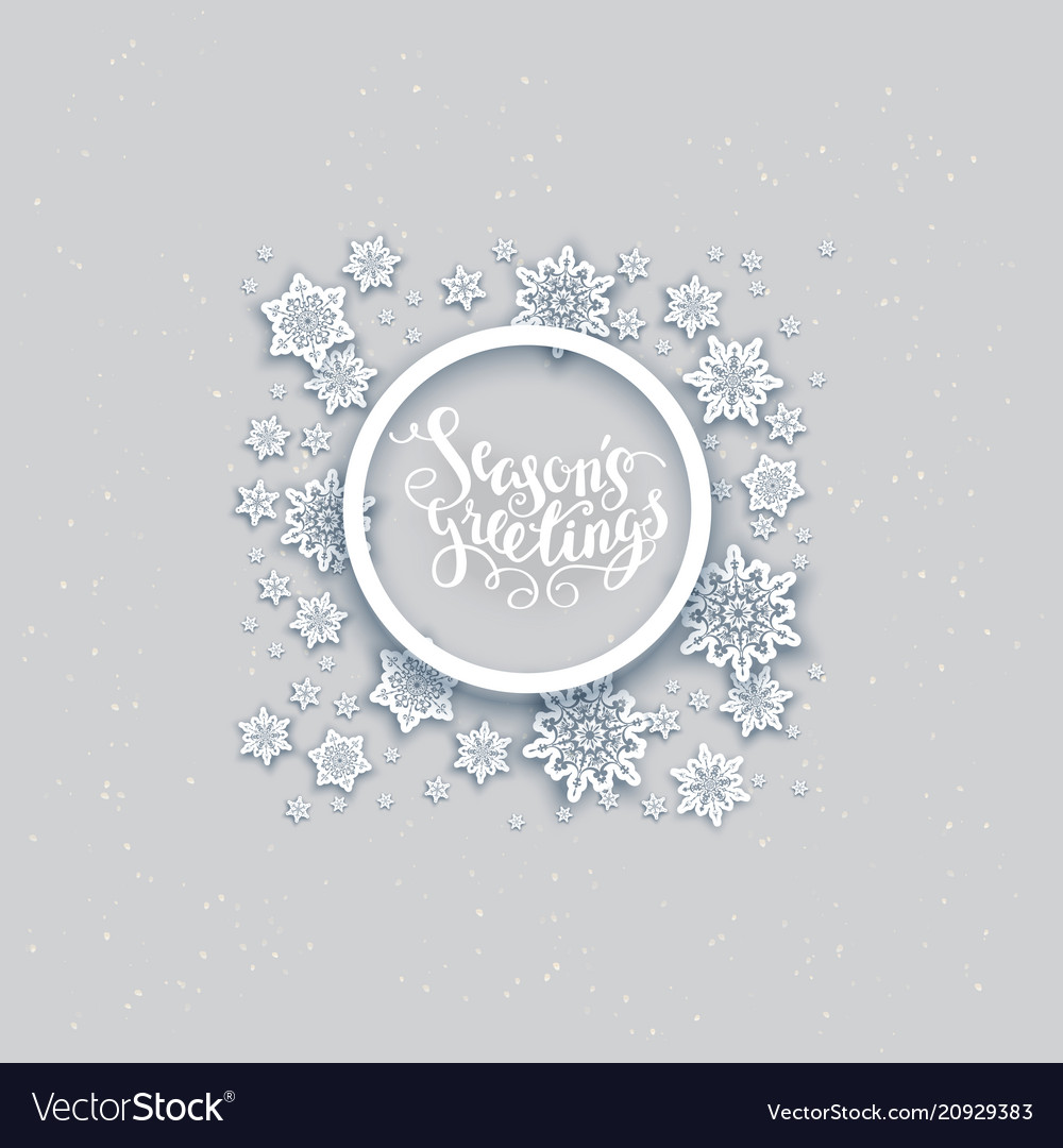 Snowflakes winter holiday card Royalty Free Vector Image