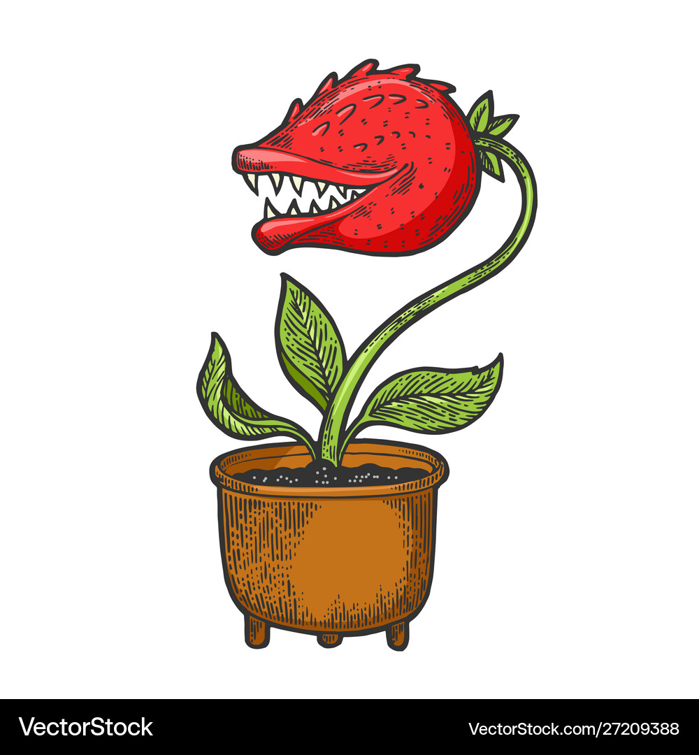 Cartoon flower with teeth sketch Royalty Free Vector Image