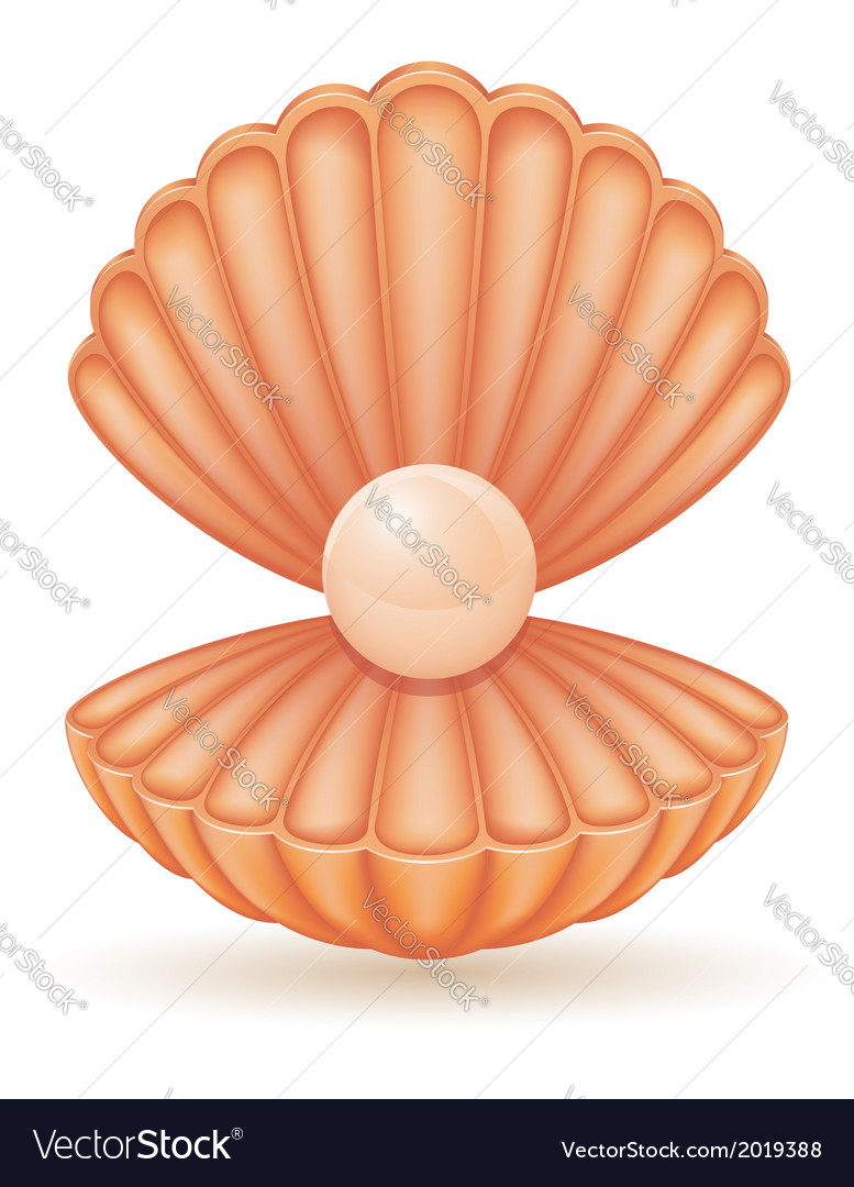 Shell 03 Royalty Free Vector Image - VectorStock