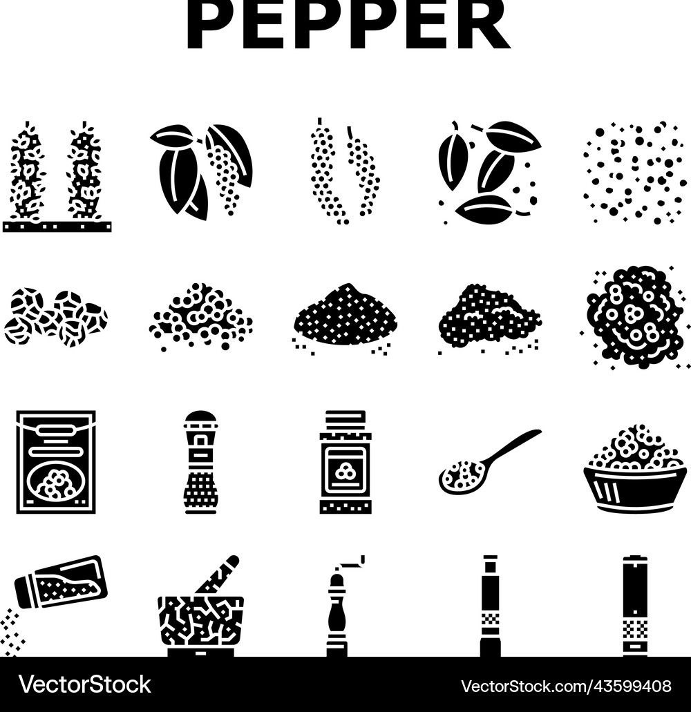 Black pepper aromatic hot spice icons set Vector Image