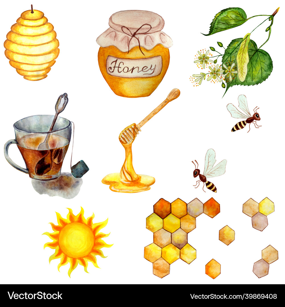 Honey set beekeeping collection cartoon apiary Vector Image