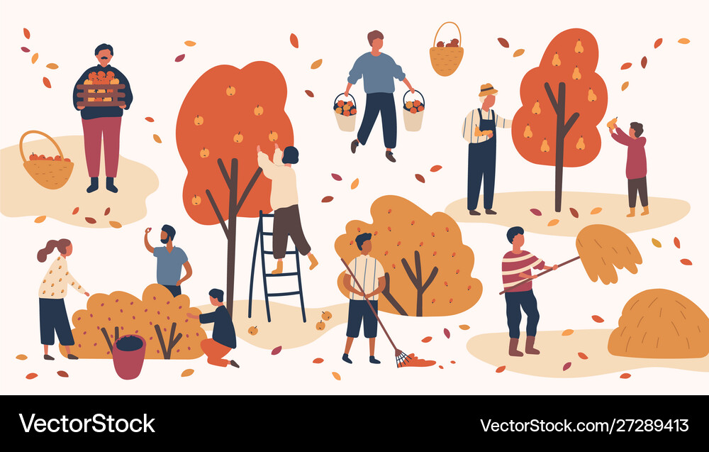 Different people picking fruits and berries Vector Image
