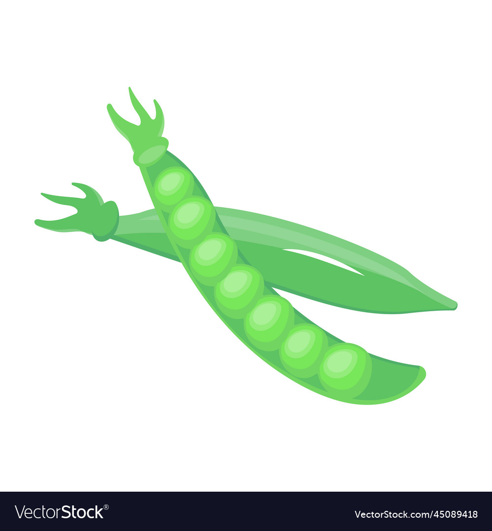 A flat of peas Royalty Free Vector Image - VectorStock