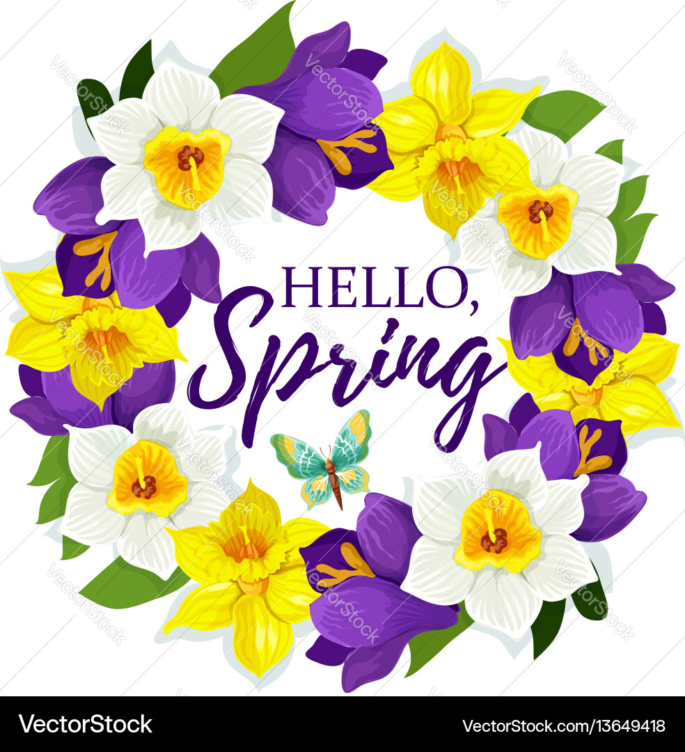 Hello spring daffodil flowers floral poster Vector Image