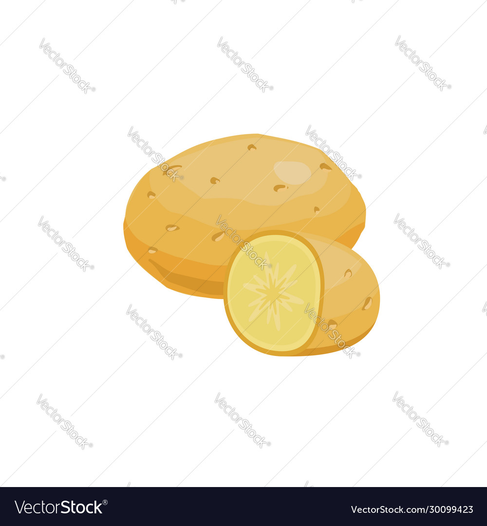 Potato Royalty Free Vector Image - VectorStock Potato Royalty Free Vector Image - VectorStock