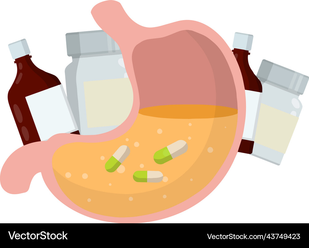 Stomach and pill dissolving drug Royalty Free Vector Image