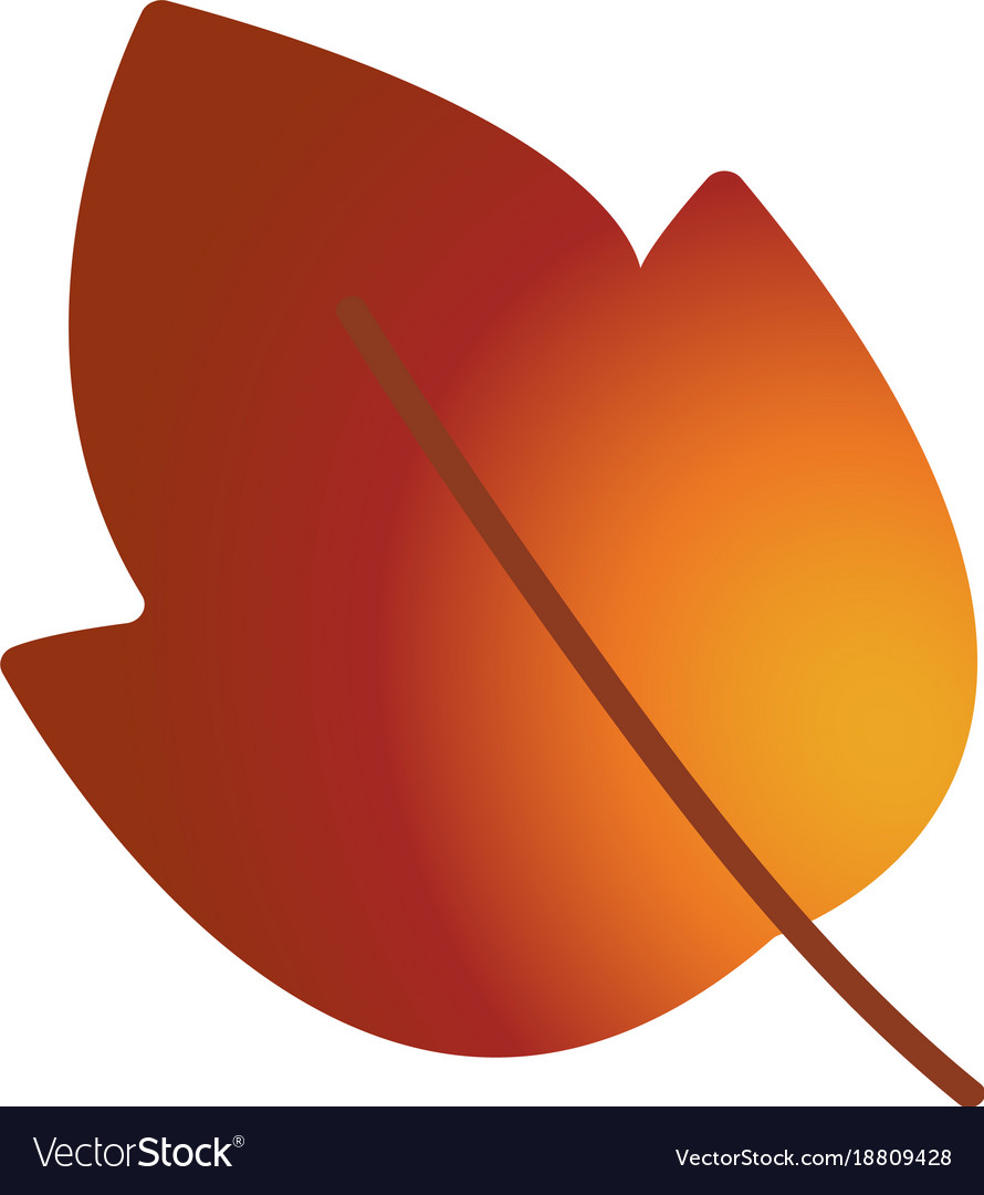 Autumn leaf maple isolated on a white Royalty Free Vector