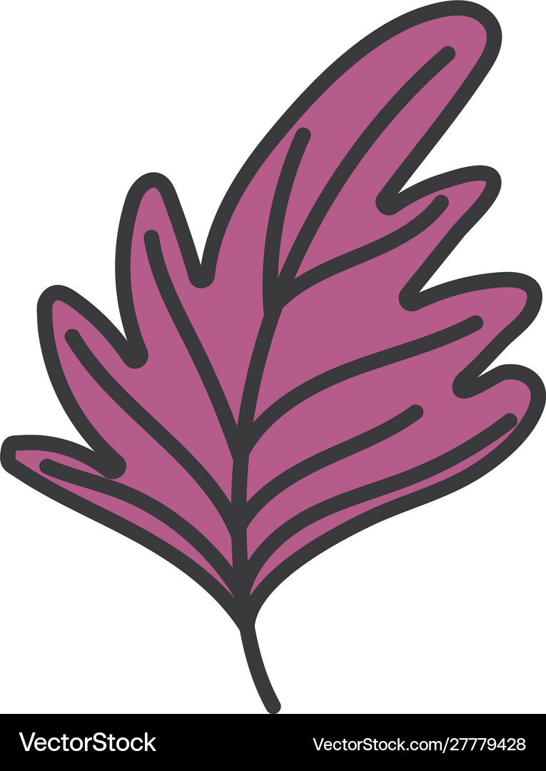 Natural leaf foliage autumn on white background Vector Image