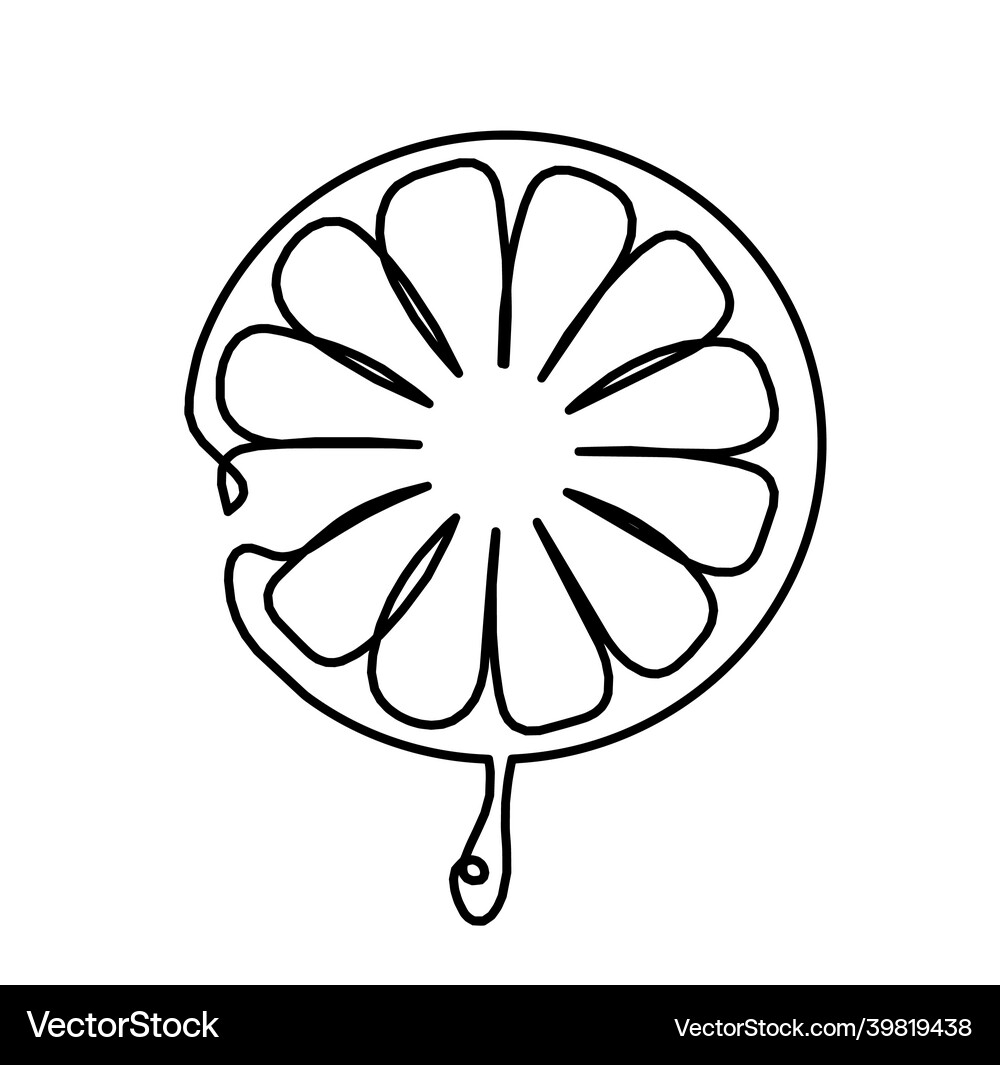 Drawing line lemon with drop on the white Vector Image