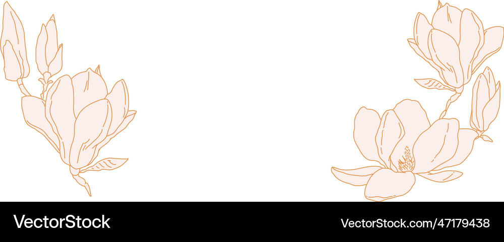 Magnolia flowers in bloom frame border template Vector Image