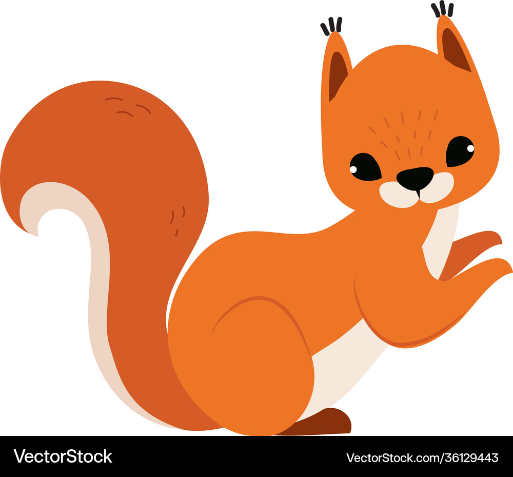 Red fluffy squirrel with bushy tail in sitting Vector Image