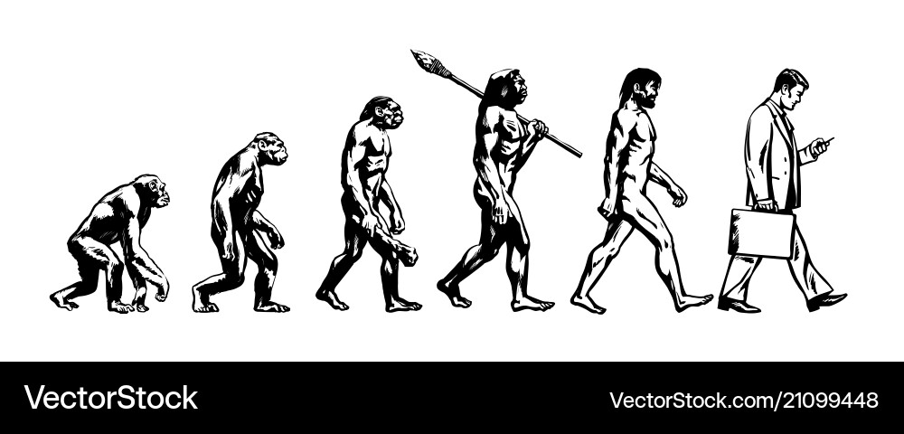 Theory of evolution of man Royalty Free Vector Image