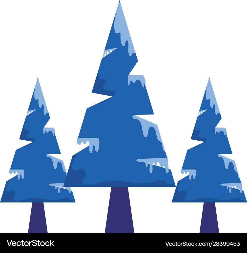 Pine trees with snow winter season Royalty Free Vector Image