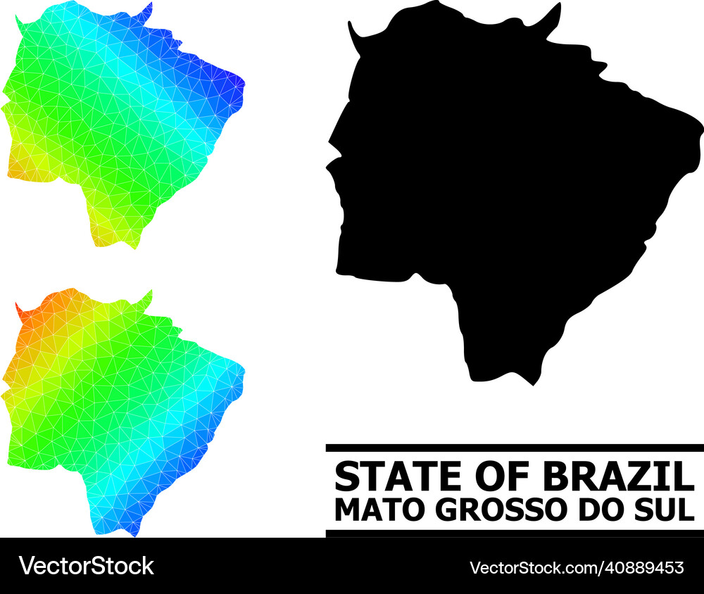 Triangle filled spectral colored map of mato Vector Image