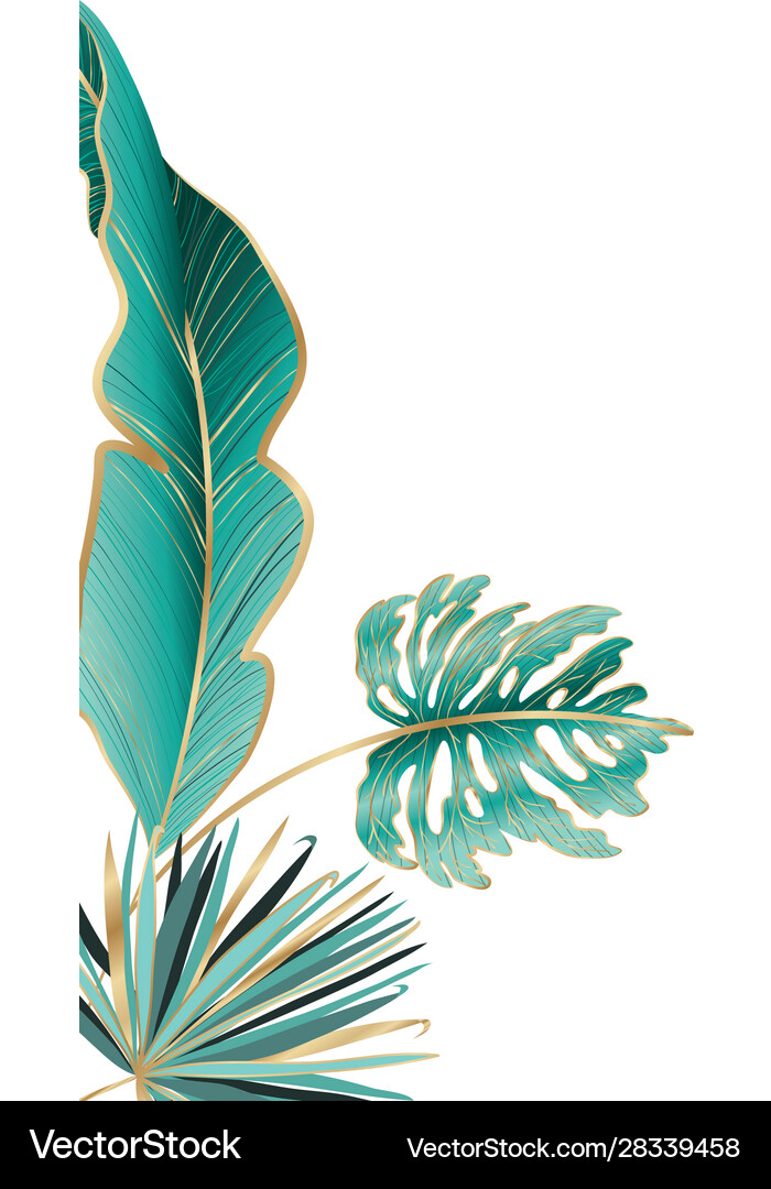 Isolated tropical green leaves design Royalty Free Vector