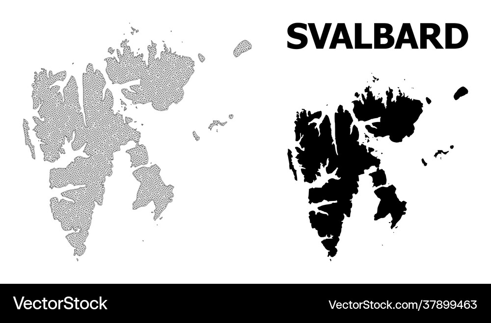 Polygonal network mesh high detail map Royalty Free Vector
