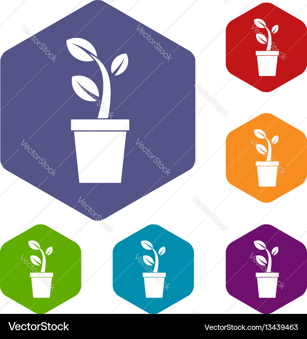 Sprout in pot icons set Royalty Free Vector Image