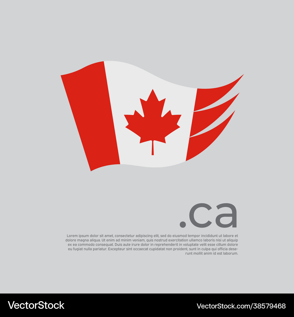 Canada flag canadian painted with abstract Vector Image