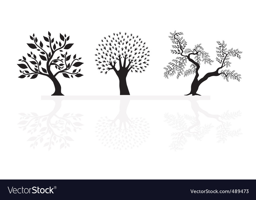 Set of abstract trees Royalty Free Vector Image