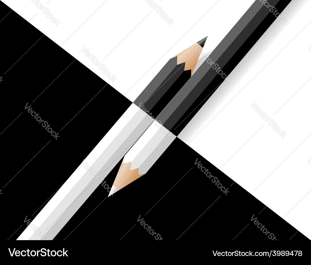 Black and white pencils lie Royalty Free Vector Image