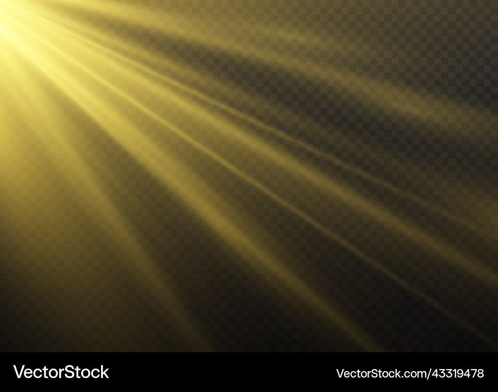 Gold sun rays light star flare glare sparkles Vector Image