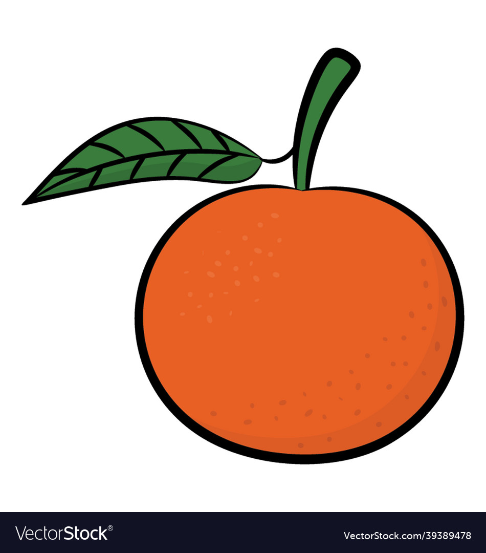 Orange Royalty Free Vector Image - VectorStock