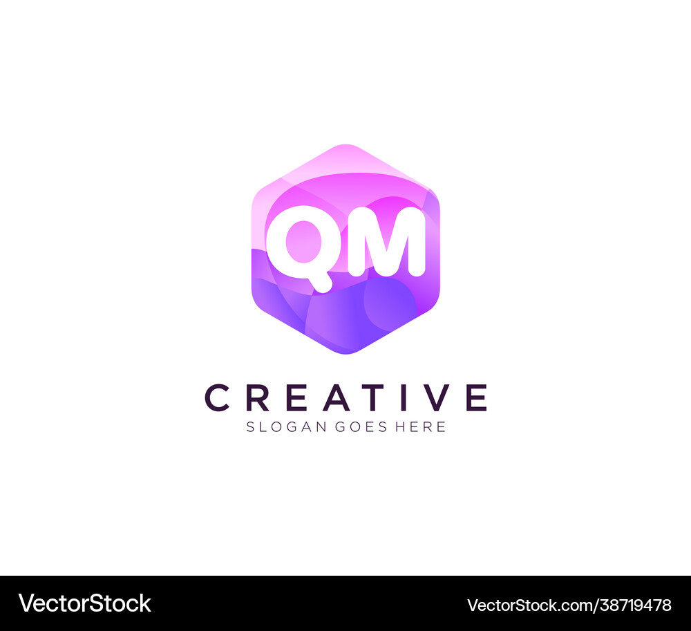 Qm initial logo with colorful hexagon modern Vector Image