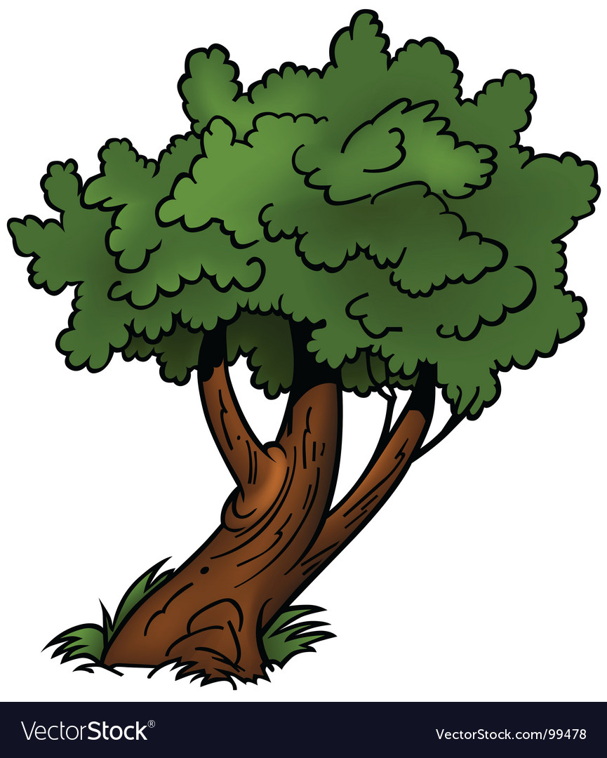 Tree Royalty Free Vector Image - VectorStock