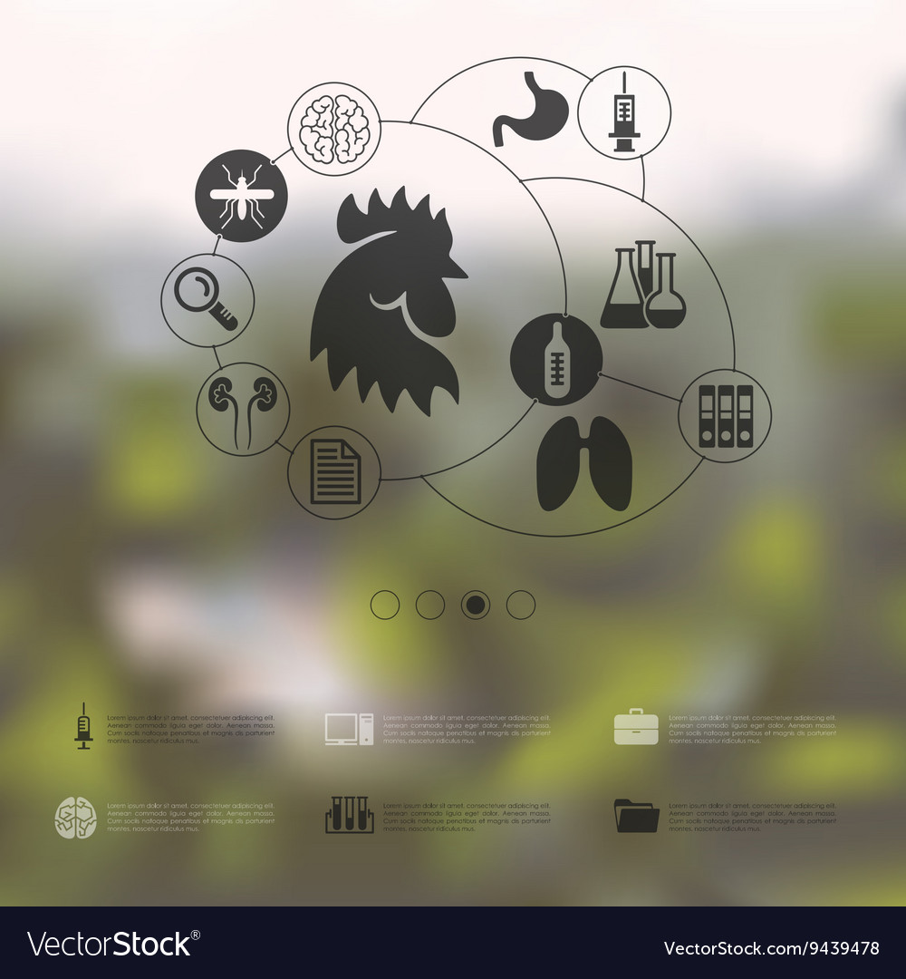 Veterinary infographic with unfocused background Vector Image Veterinary infographic with unfocused background Vector Image
