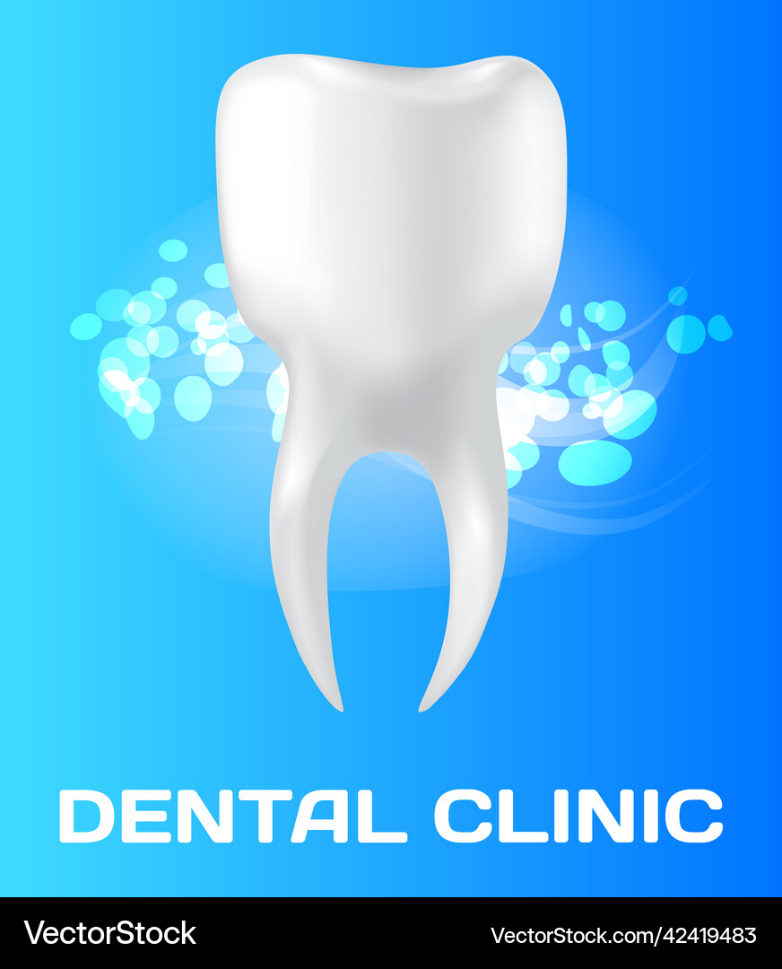Human gum with healthy teeth and denture Vector Image