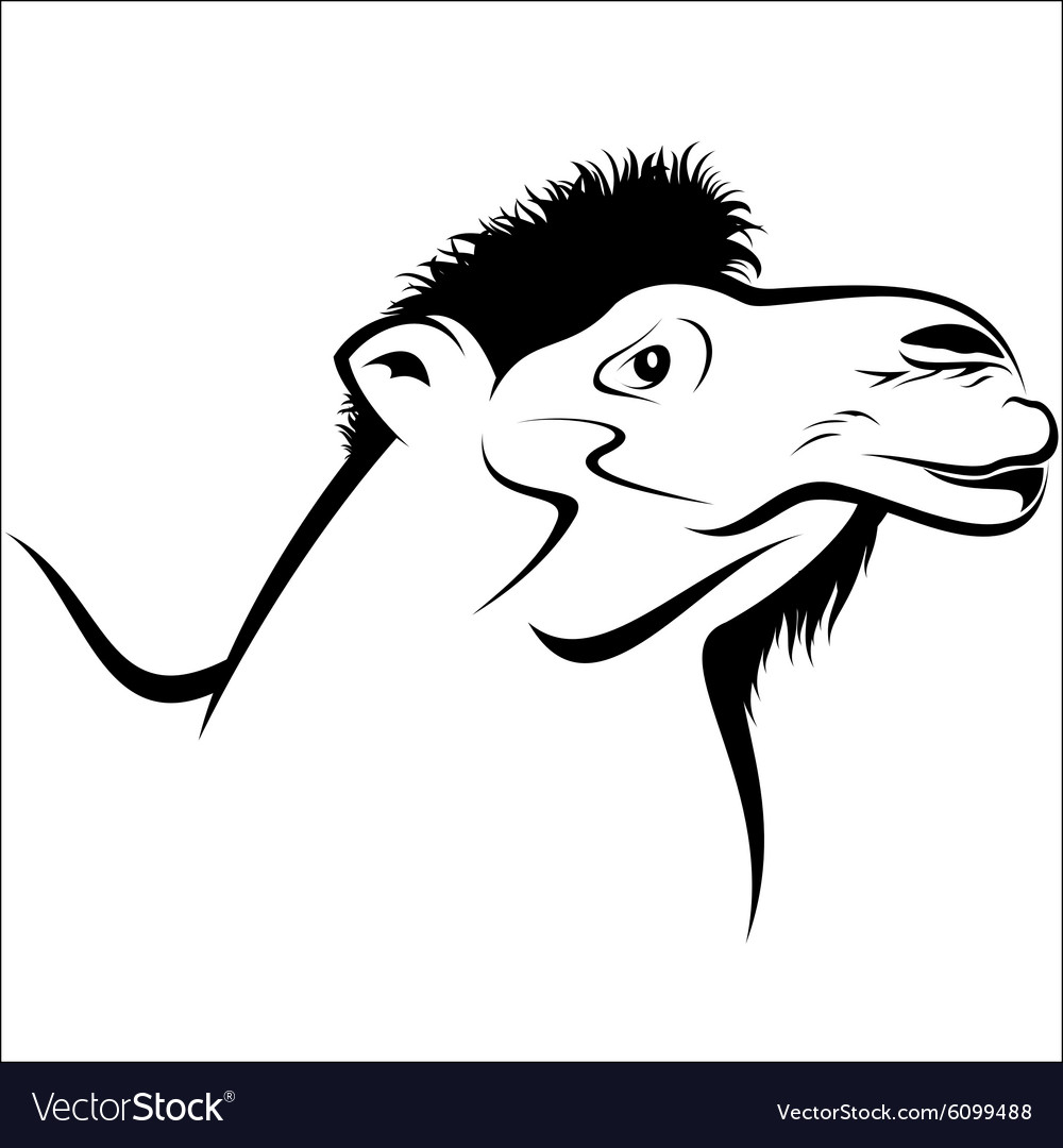Camel Royalty Free Vector Image - VectorStock