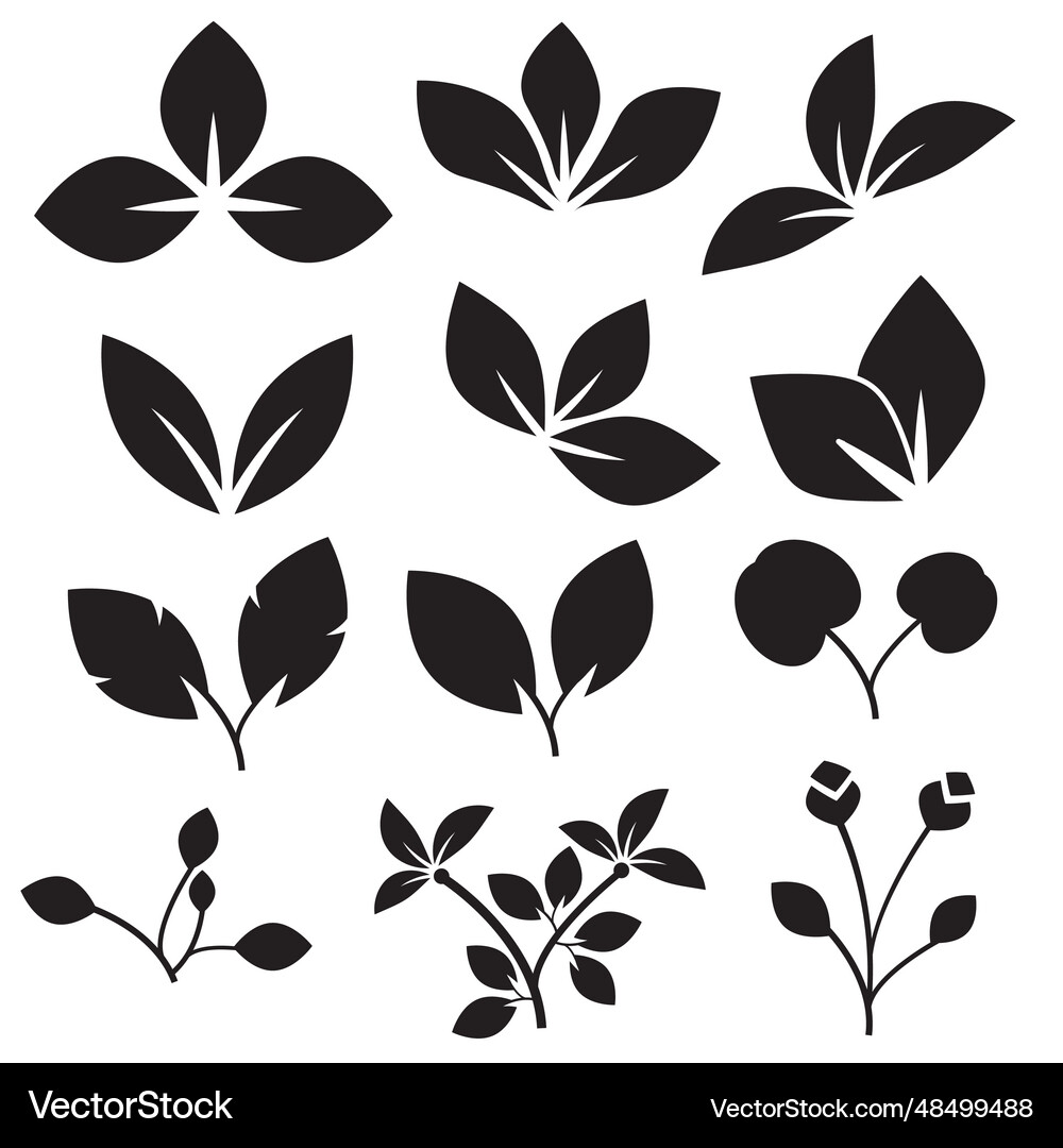 Set of various leaf icons Royalty Free Vector Image