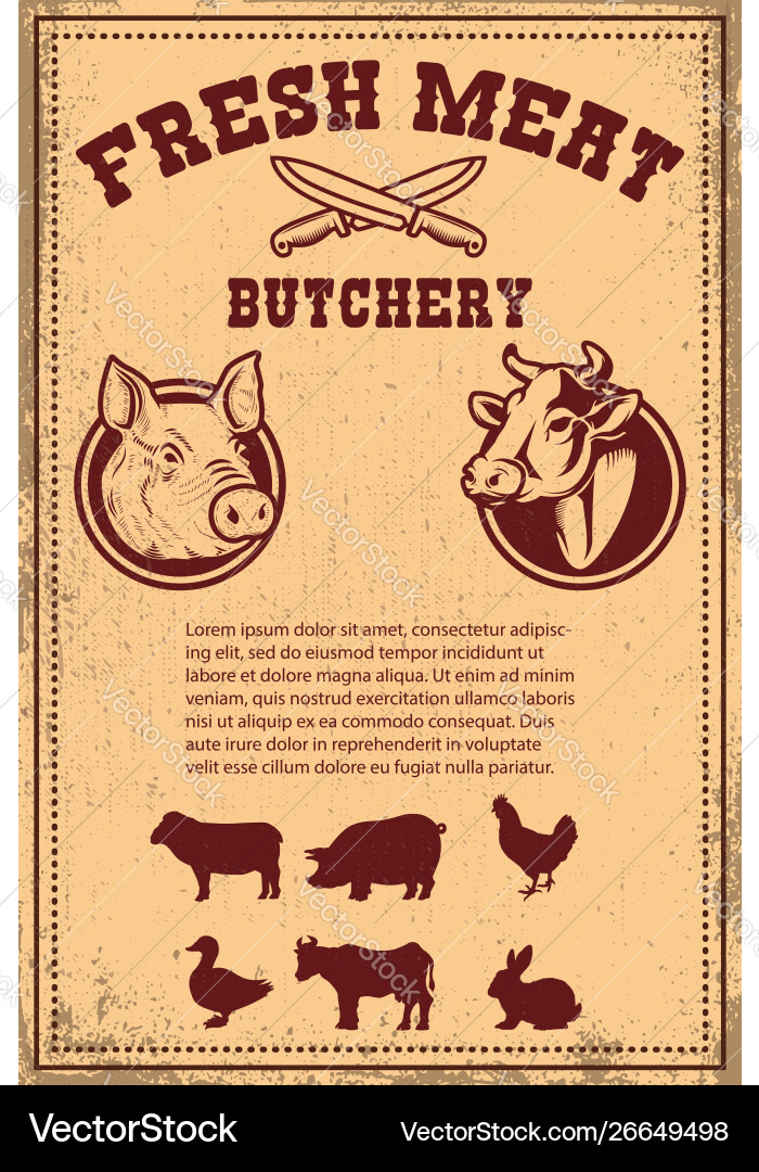Fresh meat poster template with meat cut Vector Image