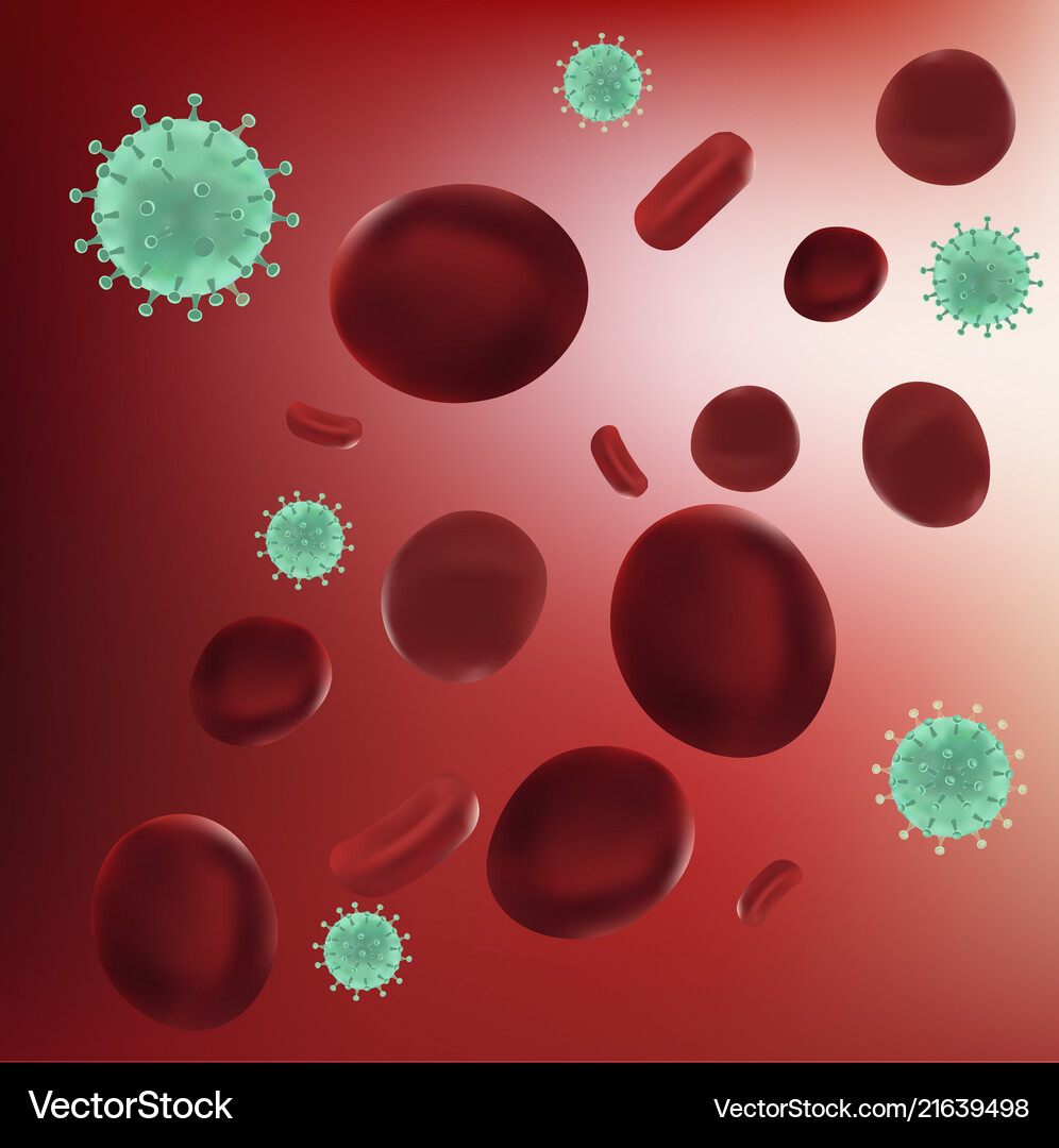 Realistic red blood cells with virus under Vector Image