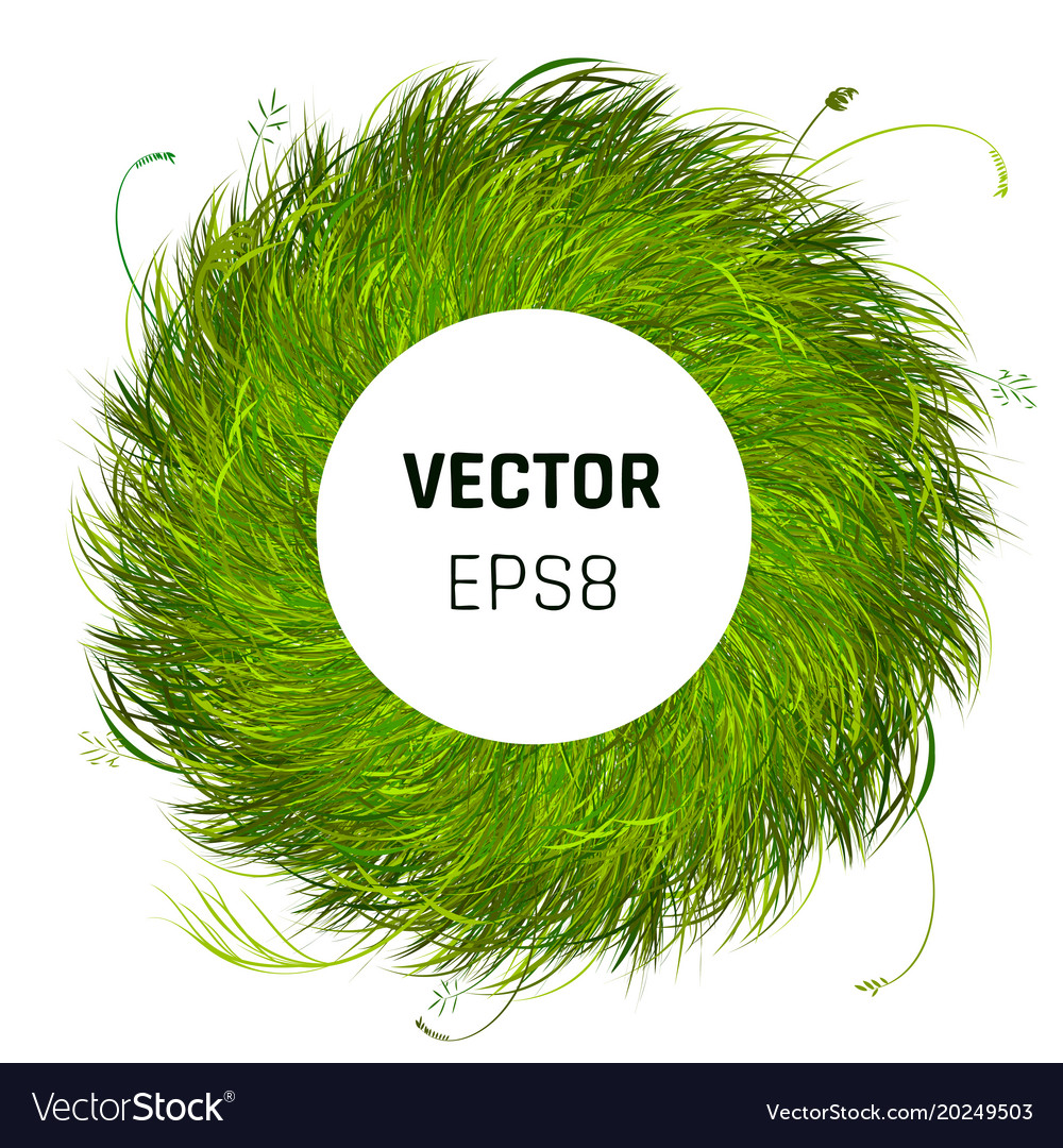 Green grass circle background Royalty Free Vector Image