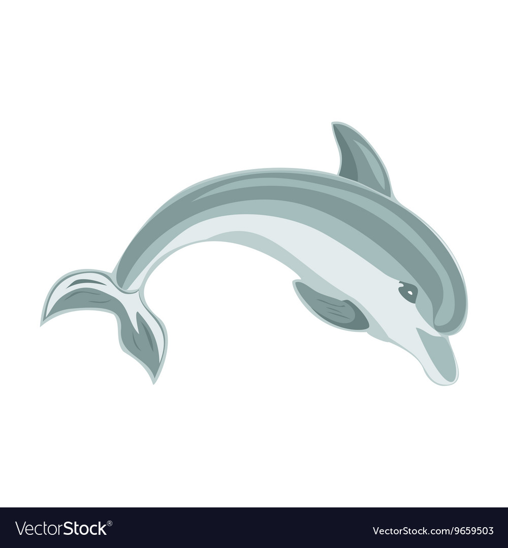 Jumping Dolphin Royalty Free Vector Image - VectorStock