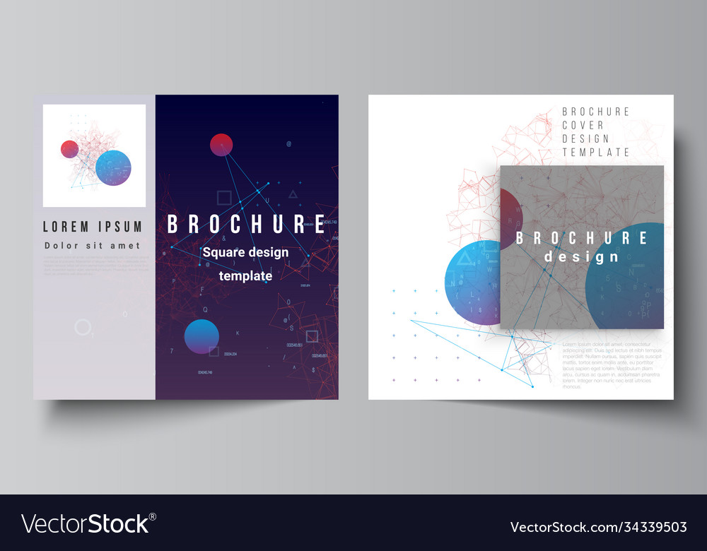 Layout two square covers templates Royalty Free Vector Image