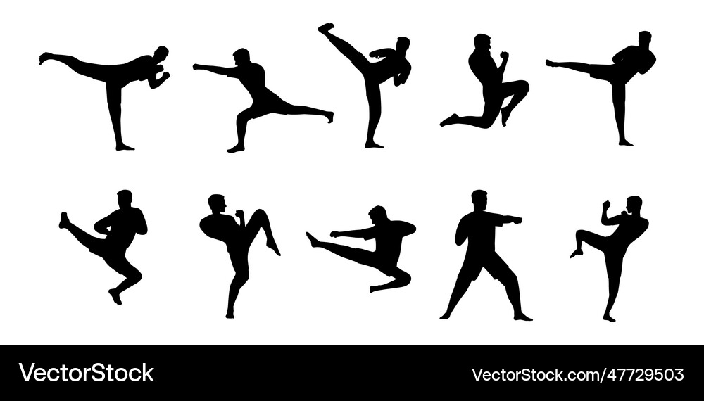 Set of karate men doing some karate move Vector Image